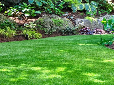Types Of Lawn Grass & Turf Varieties | Lilydale Instant Lawn