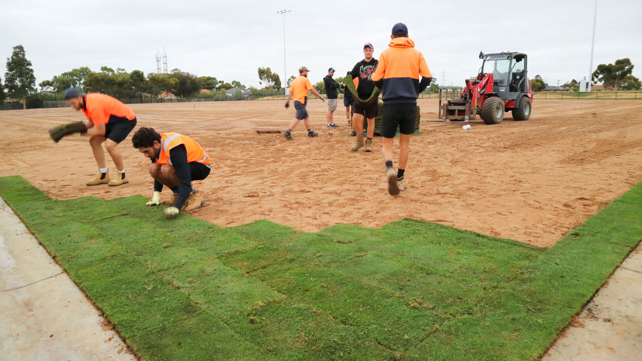 Wholesale Turf | Trade Turf Suppliers For Businesses And Industry