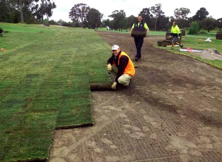 Commercial Turf Suppliers | Competitive Prices | Lilydale Instant Lawn
