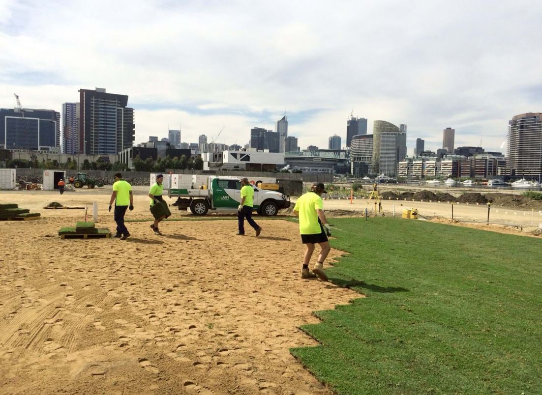 Commercial Turf Suppliers | Competitive Prices | Lilydale Instant Lawn