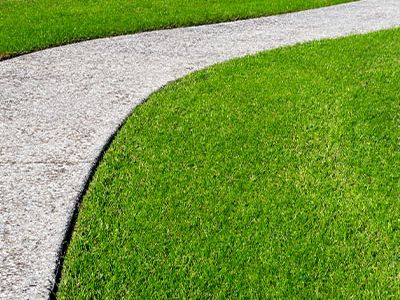 Types Of Lawn Grass & Turf Varieties | Lilydale Instant Lawn