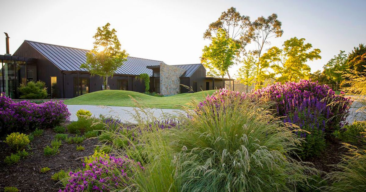 Identifying The Type Of Grass In Your Lawn | Common Grass Types