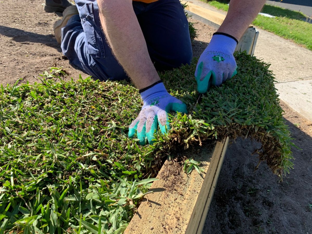 How to Measure Lawn Size: Easy Steps for Accurate Results