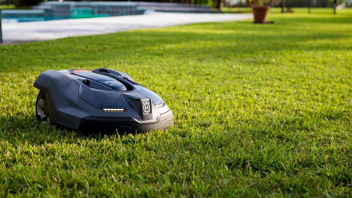 How and When to Mow Your Lawn: Essential Mowing Tips