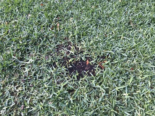 Monument Liquid Herbicide 100ml | Lilydale