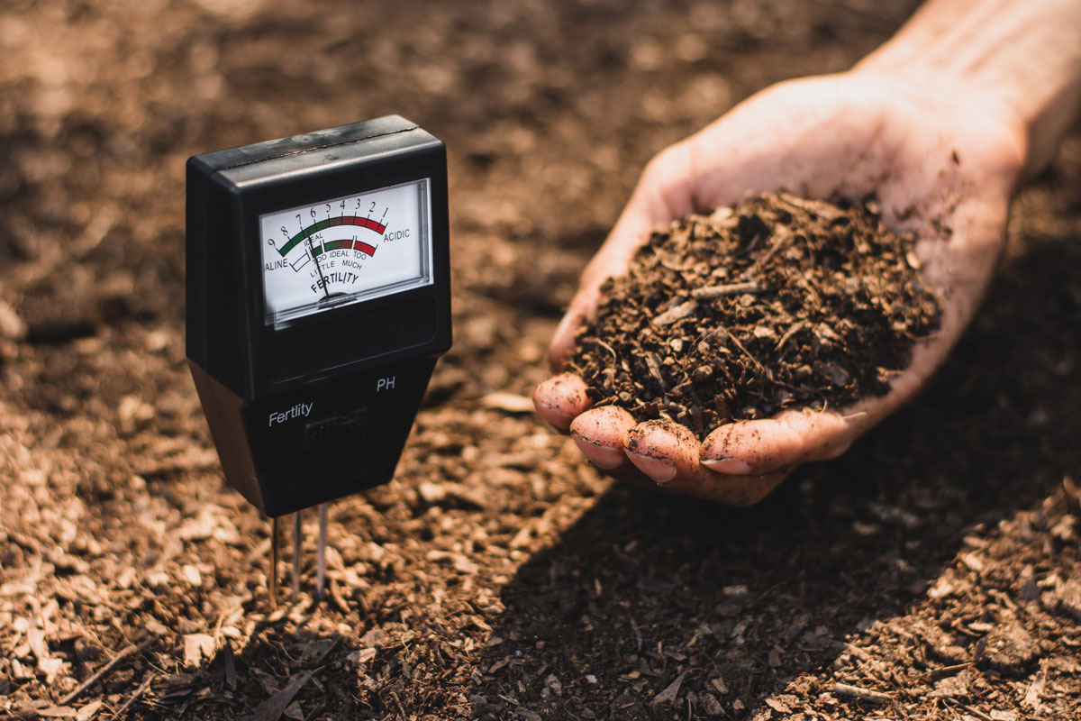 Balancing Your Soil pH & Why It Matters | Lilydale Instant Lawn