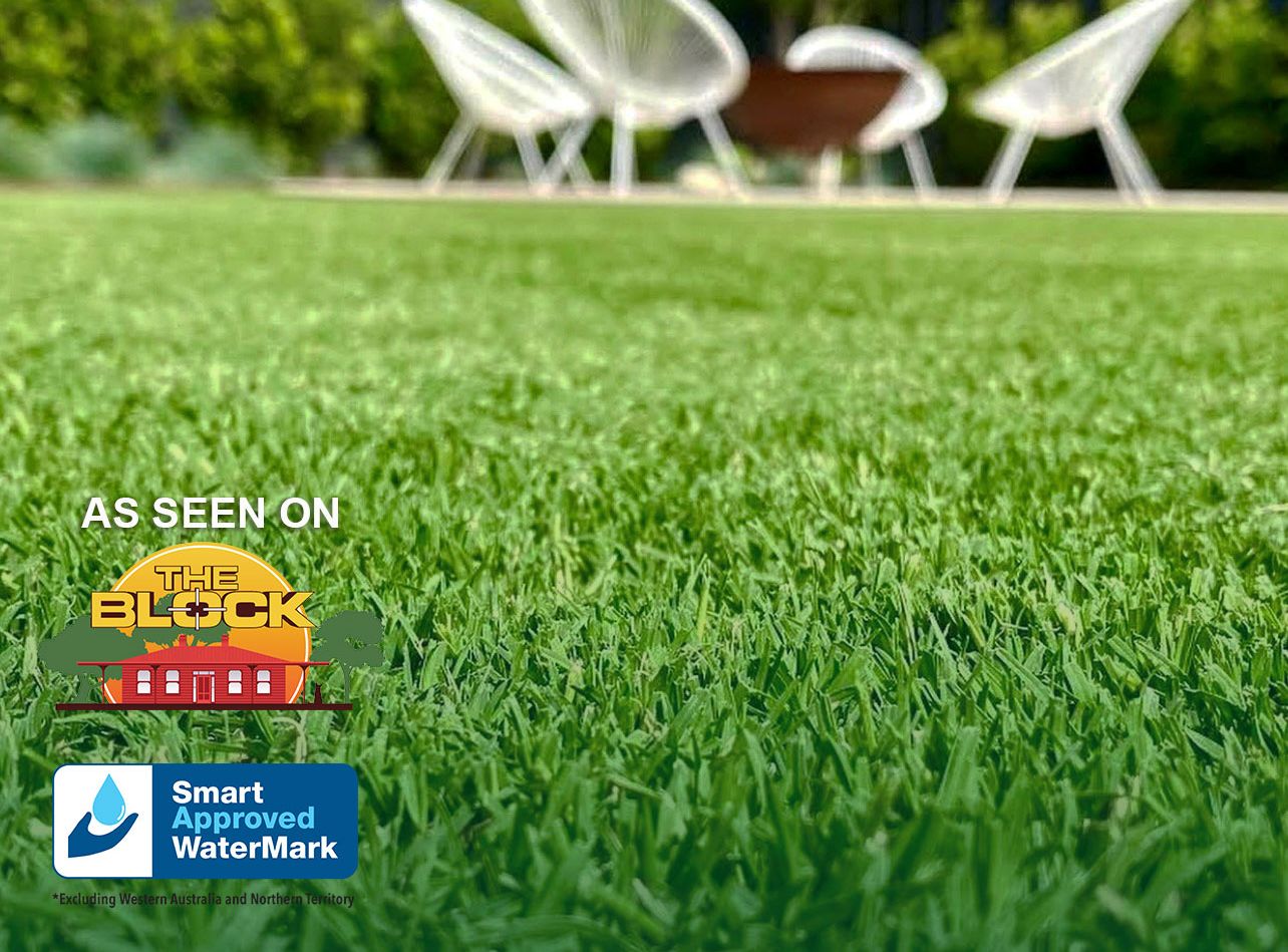 TifTuf Bermuda Melbourne Supplier | Lilydale Instant Lawn