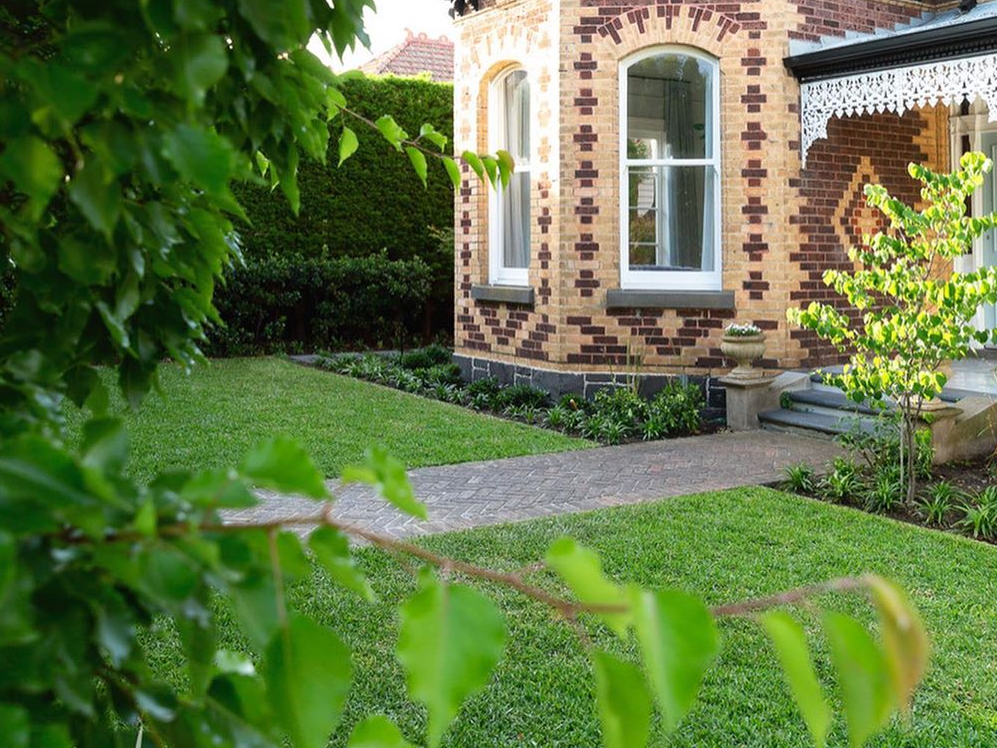 Monument Liquid Herbicide 100ml for Lawn Weeds