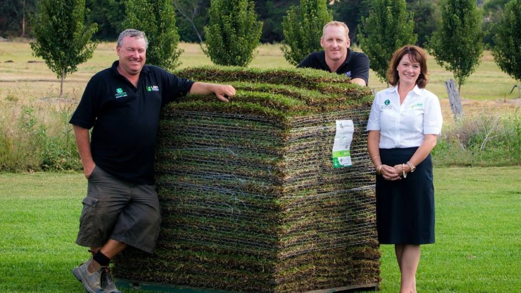 Types Of Lawn Grass & Turf Varieties | Lilydale Instant Lawn