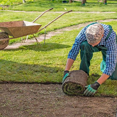 Your Guide to Laying Turf in Melbourne | #1 Turf Suppliers
