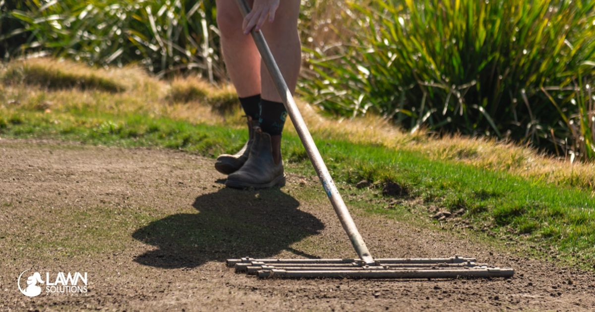 How To Repair A Damaged Lawn | Lawn Restoration