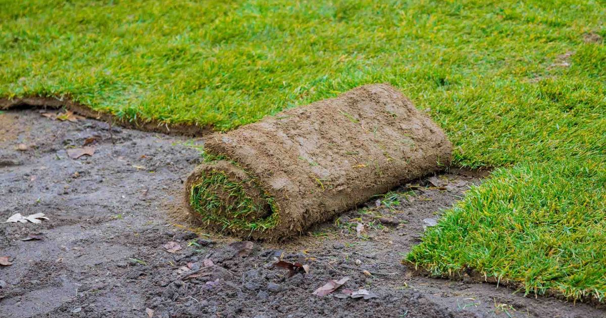 Guide To Preparing Soil for Lawn | How To Prep Ground For New Turf