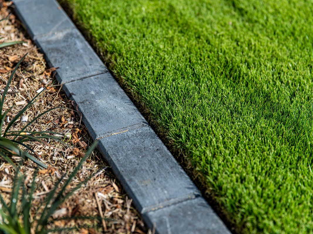 Types Of Lawn Grass & Turf Varieties | Lilydale Instant Lawn