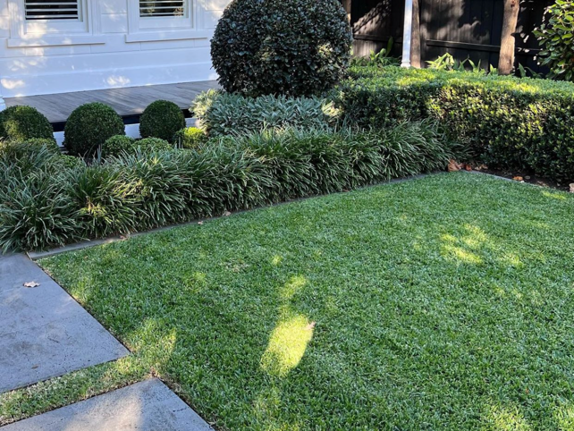 Types Of Lawn Grass & Turf Varieties | Lilydale Instant Lawn