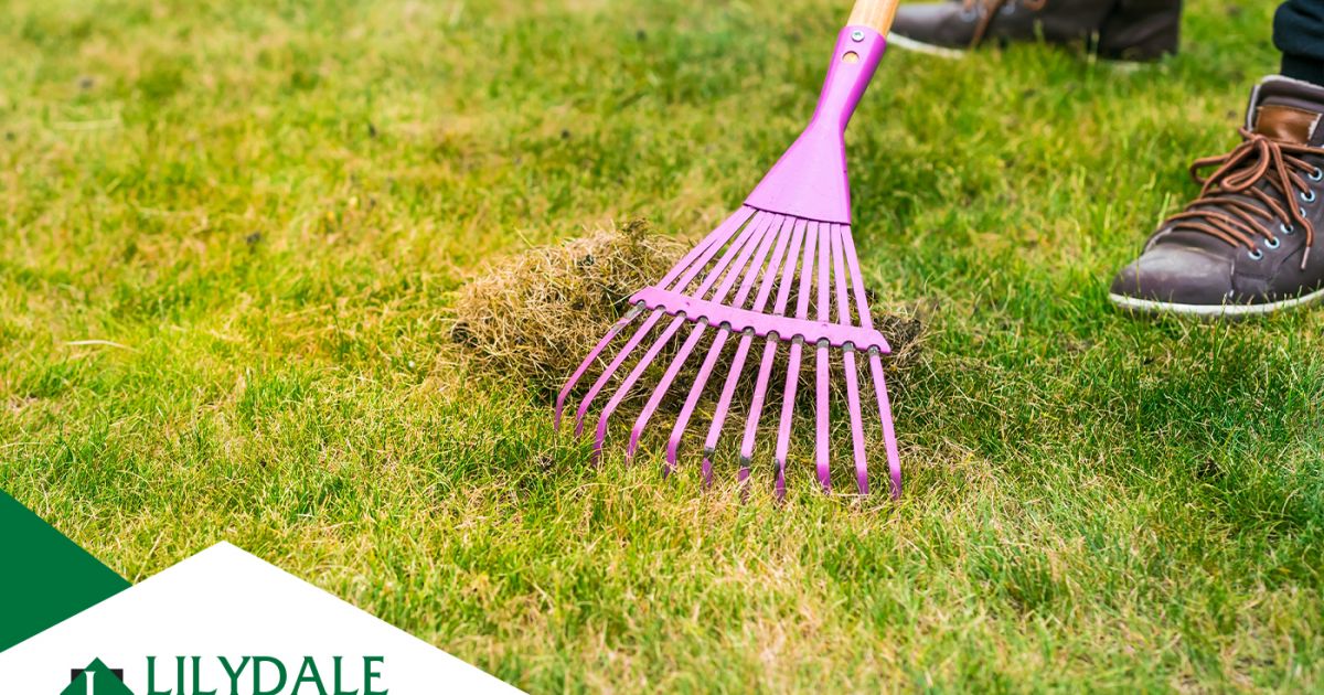 Why Is My Lawn Turning Yellow? Fix Yellow Patches Fast