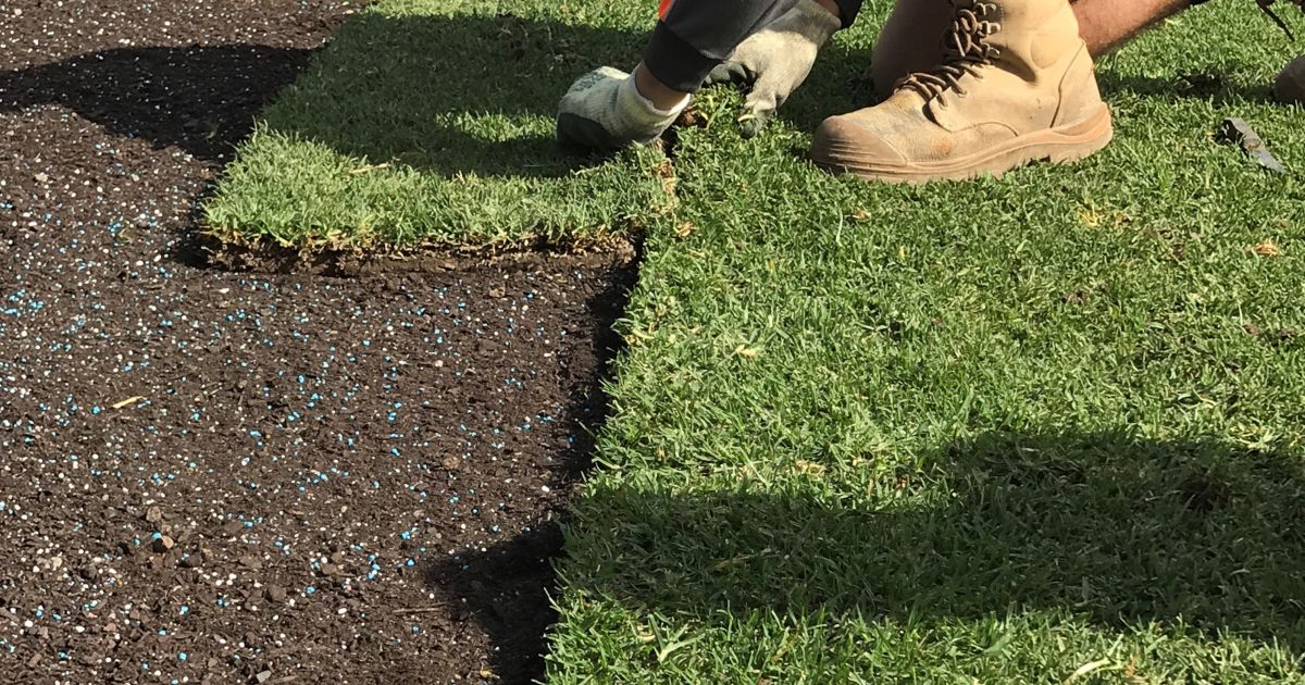 How to Measure Lawn Size: Easy Steps for Accurate Results