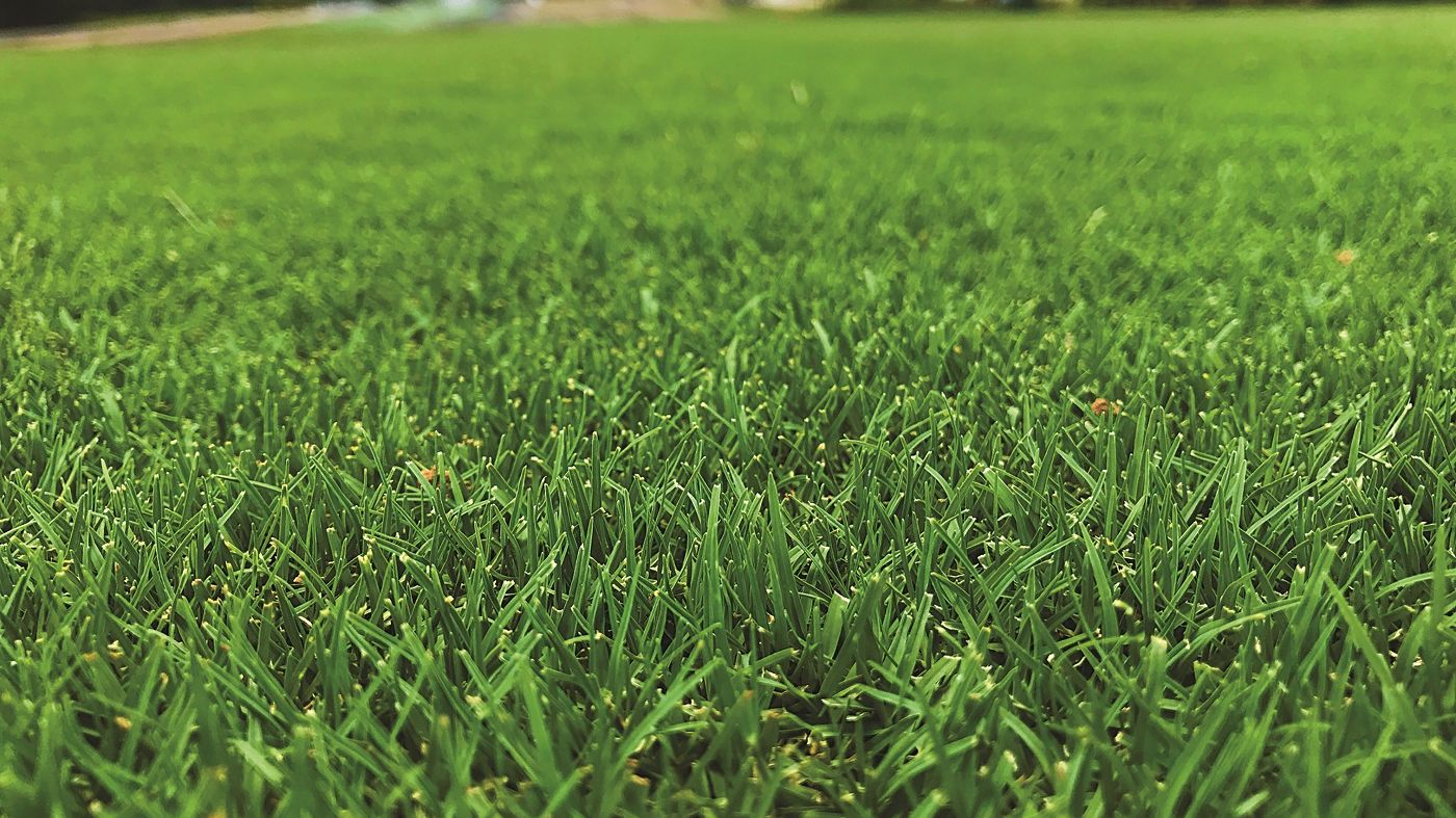 Commercial Turf Services | Premium Turf, Guaranteed Delivery